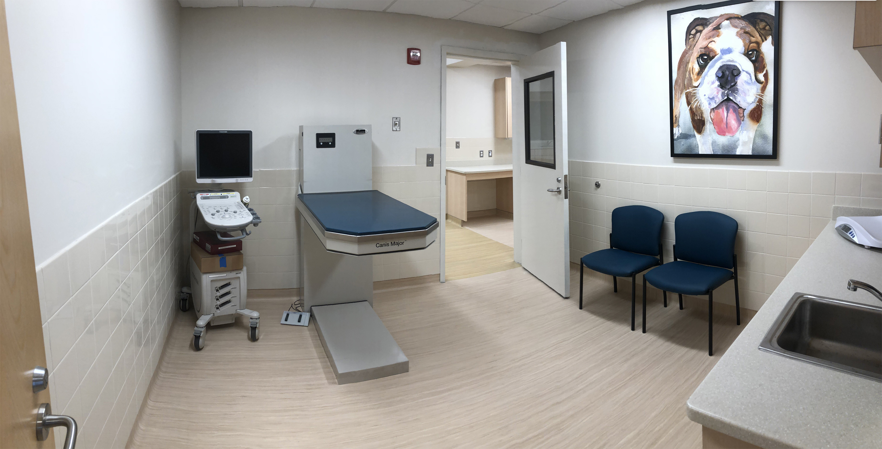 Monty Tech Veterinary Clinic – Lamoureux Pagano Associates | Architects